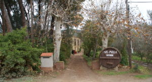 The Wineries and Beaches of Costa Brava - Club Villamar