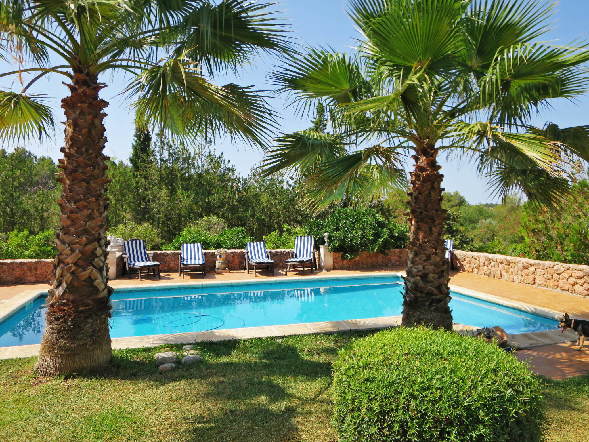 Holiday home Bunyola Mallorca Villa Spain for rent Doliva