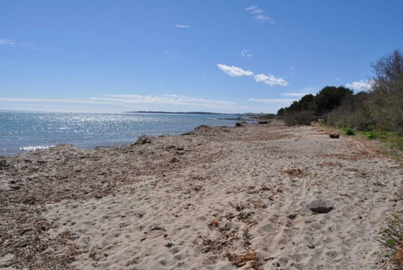 Holiday home Costa de los Pinos Mallorca Villa Spain for rent Nardus