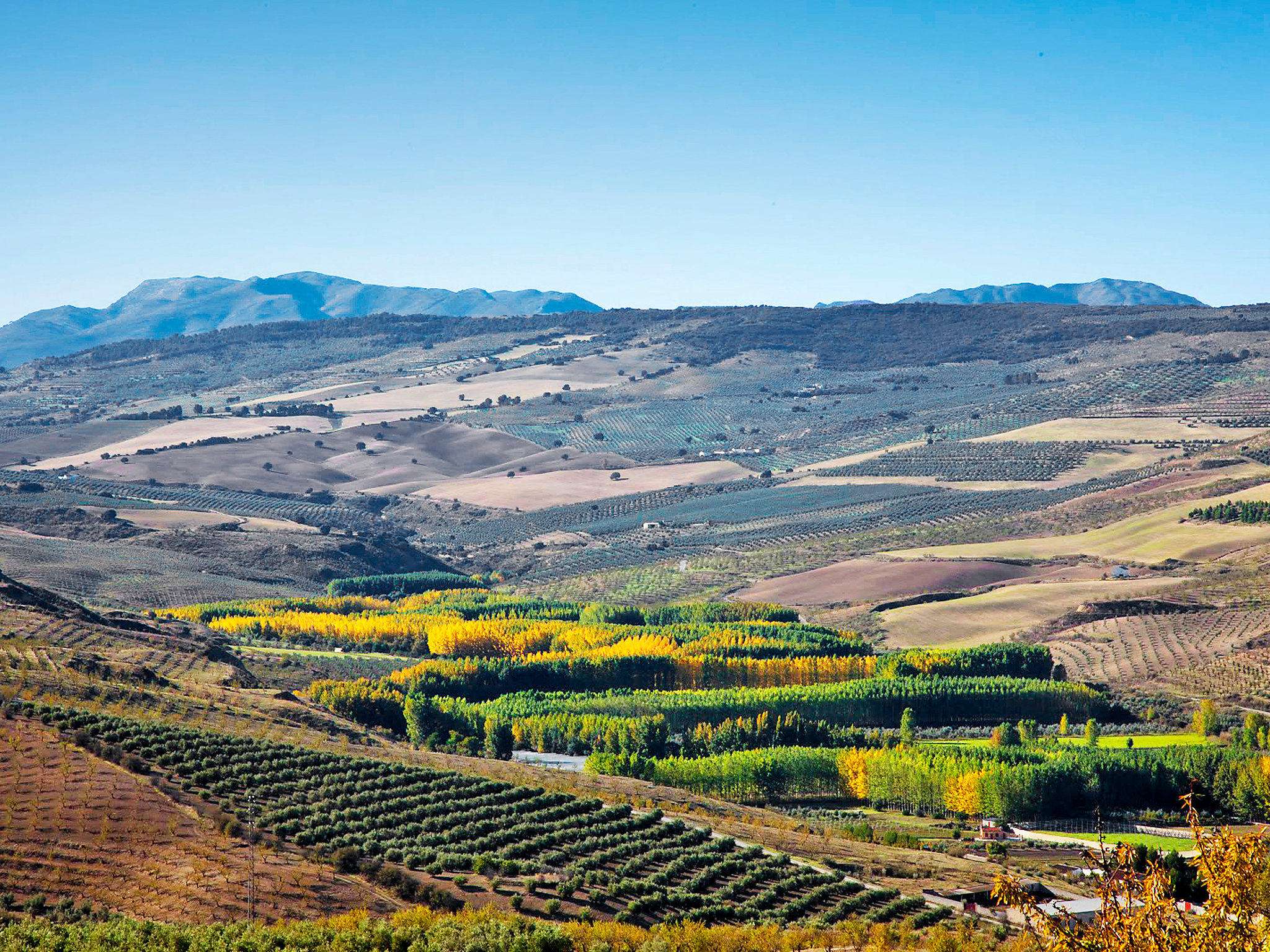 Casa de vacaciones Cacín Andalucía Interior España Cacin